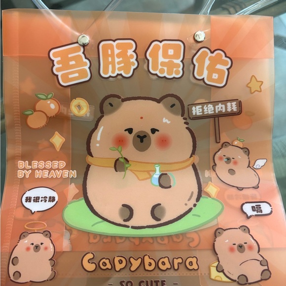 Accessories | Capybara So Cute Orange Packaging | Poshmark